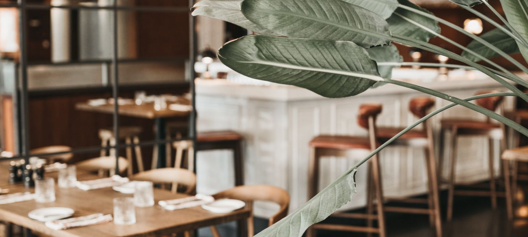 DNB Budapest Restaurant